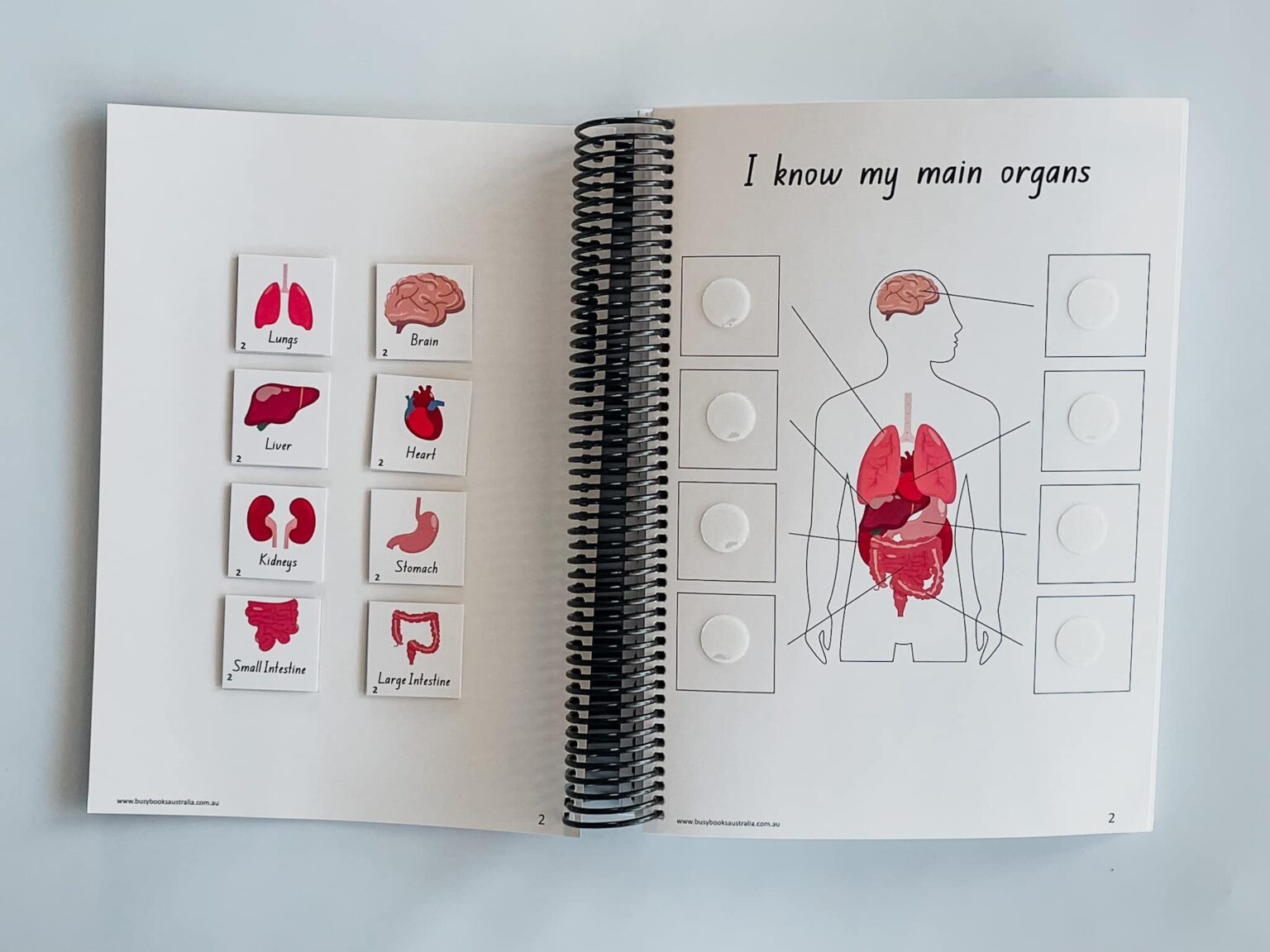 My Body Mindfulness Time Book | Busy Books Australia